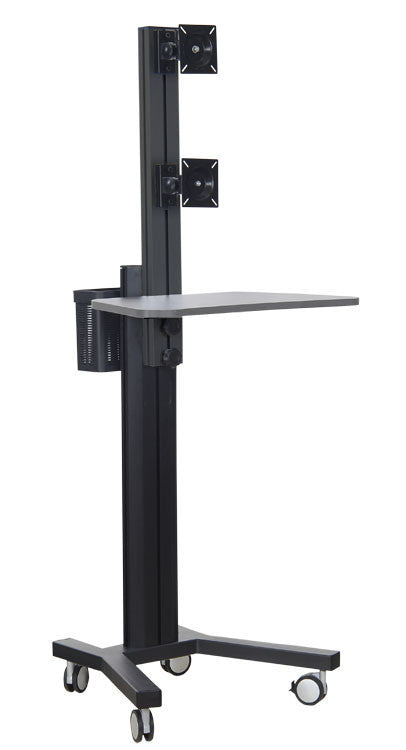 Dual Computer Mobile Cart (MCT09-a) – Rife Technologies